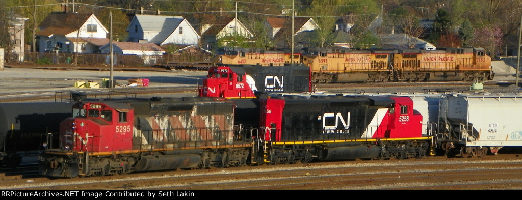 CN 5295